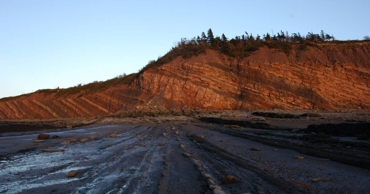Spotlight on UNESCO: Canada's Joggins Fossil Cliffs | Worldwide ...